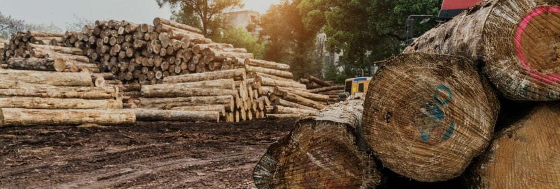 Timber and agricultural crops - PKP CARGO